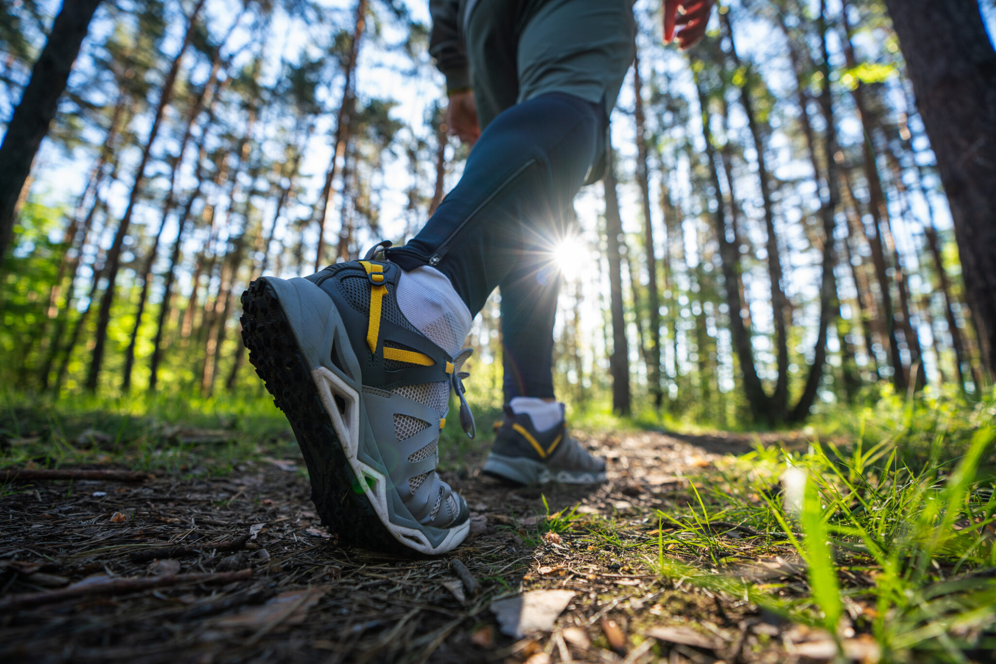 Total Ankle Replacement | Panorama Orthopedics in Denver & Centennial, CO